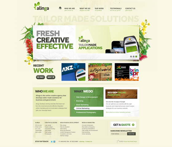Alinga | Gold Coast Web Design - Folio Focus