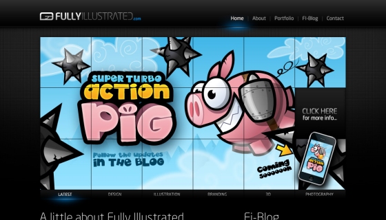 Fully Illustrated - Folio Focus