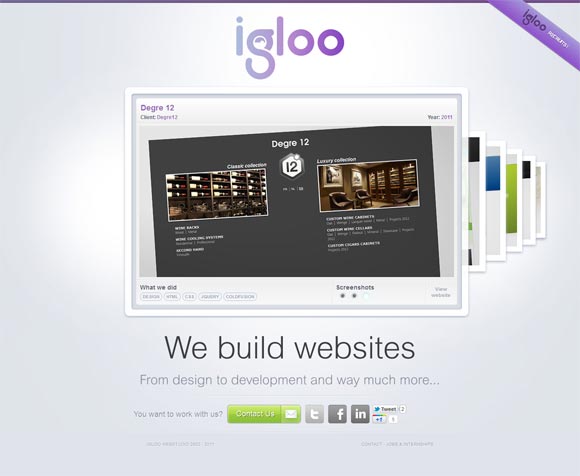 Igloo | Web Design - Folio Focus